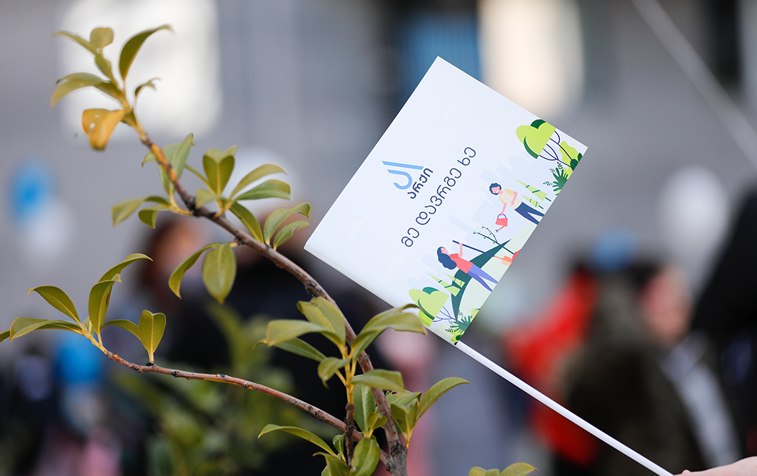Another Greening Event Organized By Archi - Archi.ge